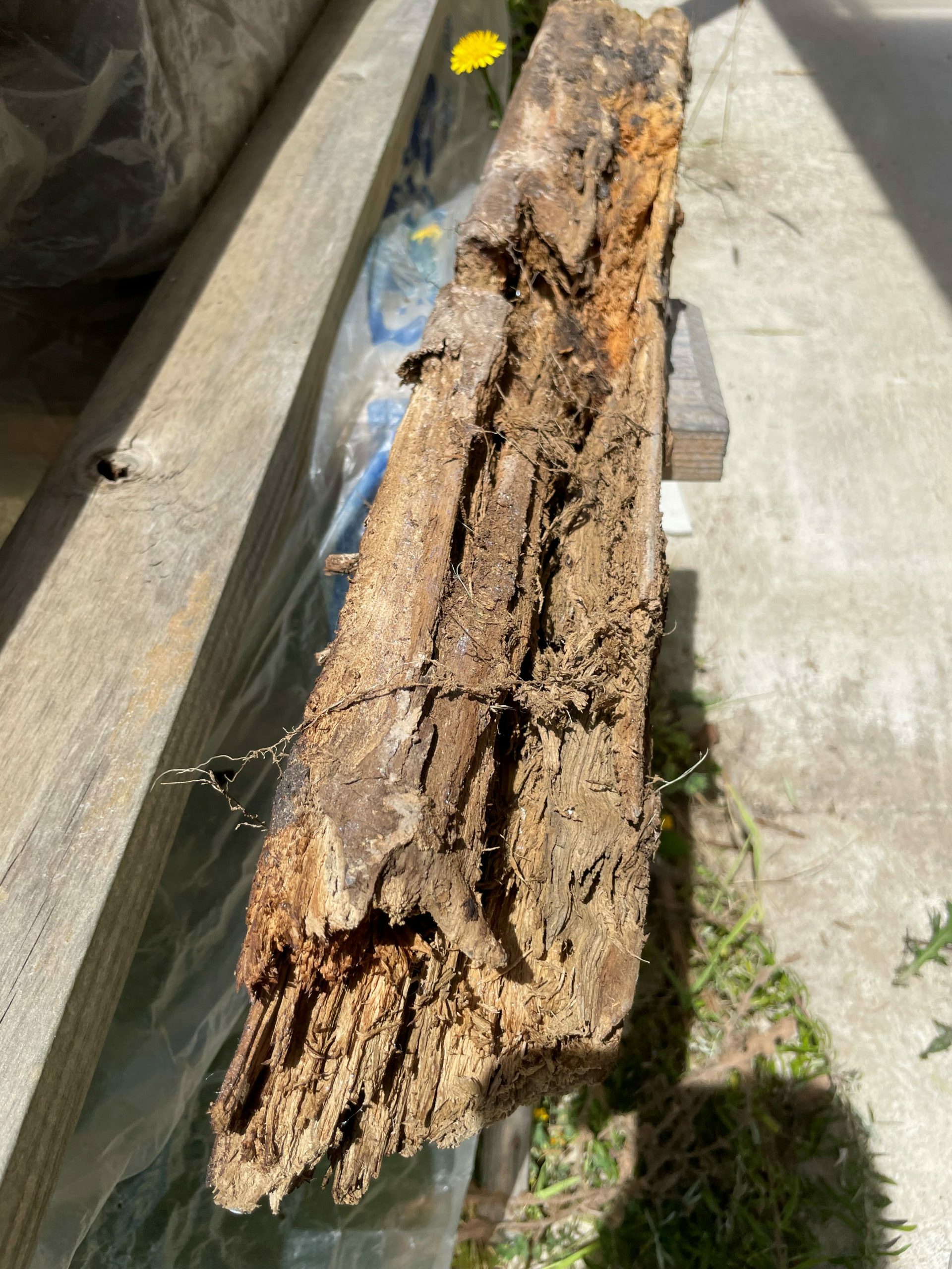 Cypress Pine Posts | Bowens